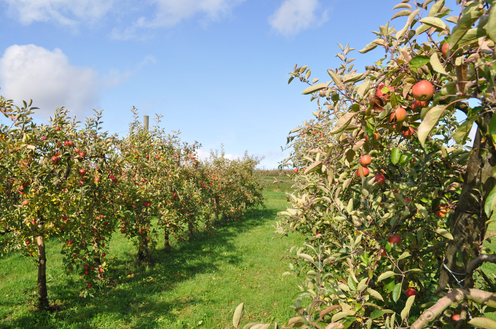 Les Cités de CaractèreParcours gastronomique en Bourgogne Franche-Comté ...