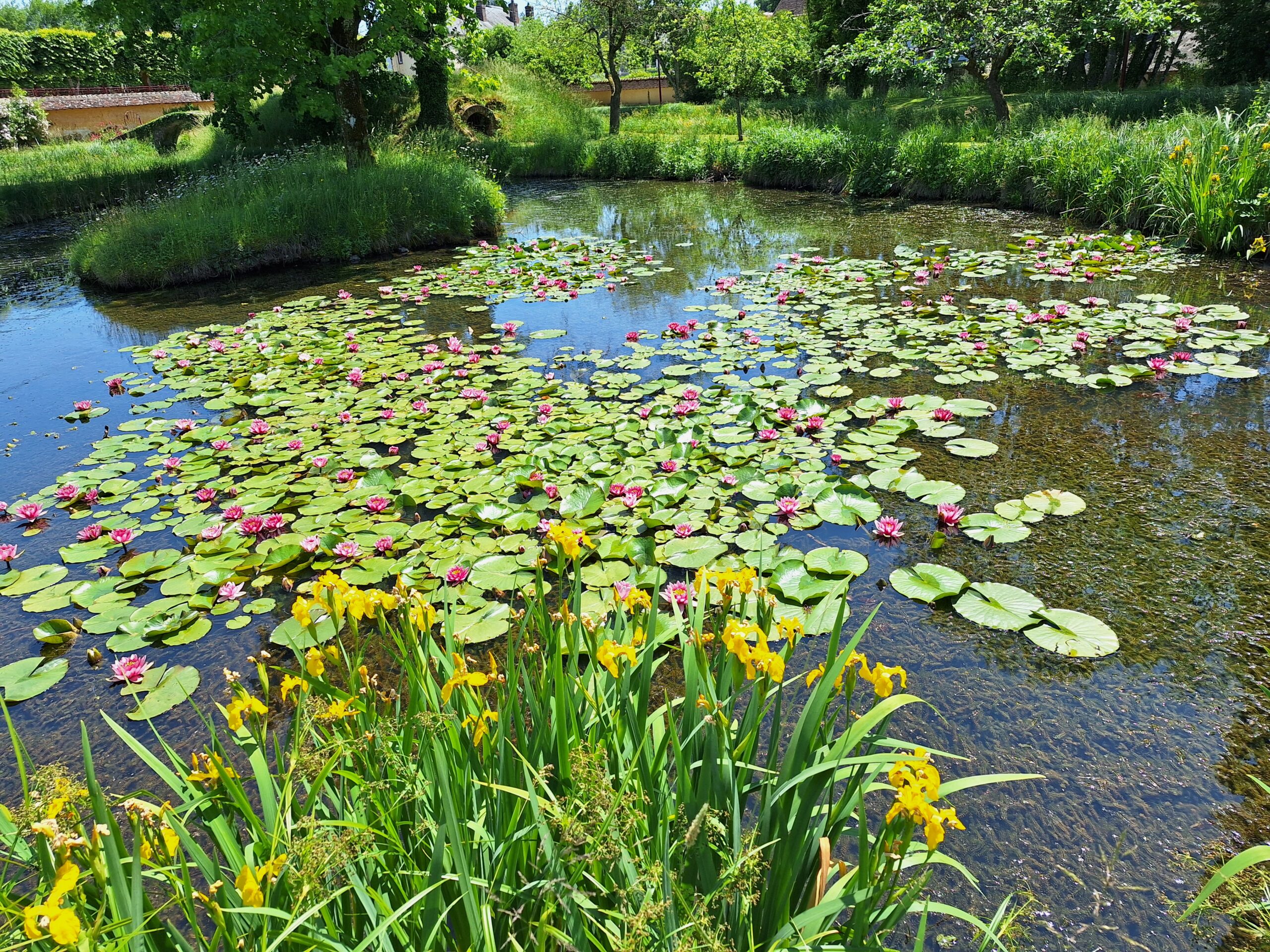 Les Cités de CaractèreMézilles - Les Cités de Caractère